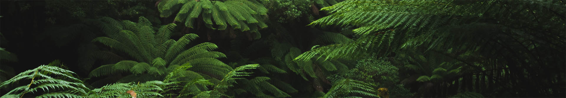 Testimonials for Formby Car Centre